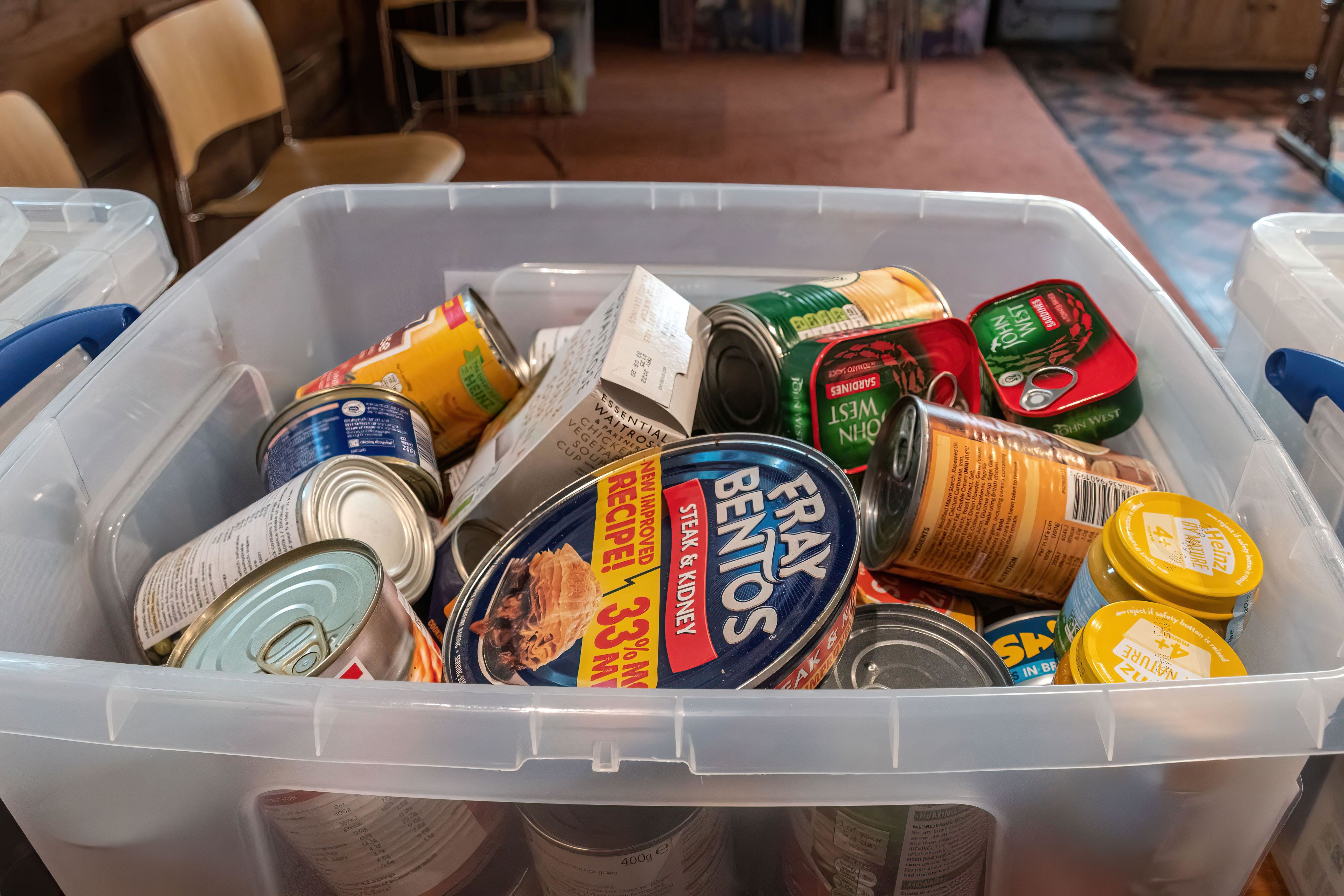 Confronting Child Hunger - Causes, Effects, and How to End It